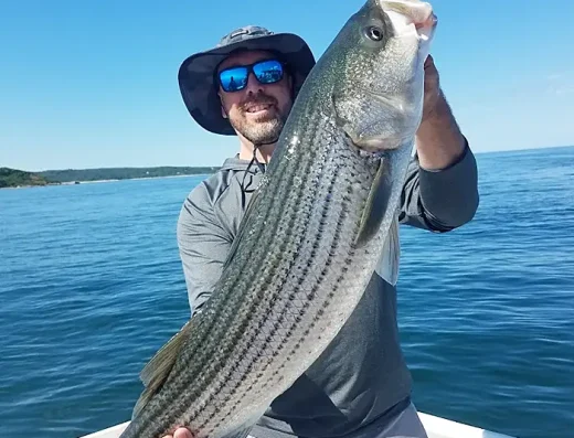 Bluefin Charters : Falmouth, MA - Trustedfish